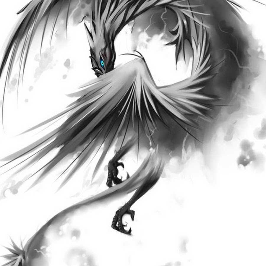 Shadów Phoenix - YouTube