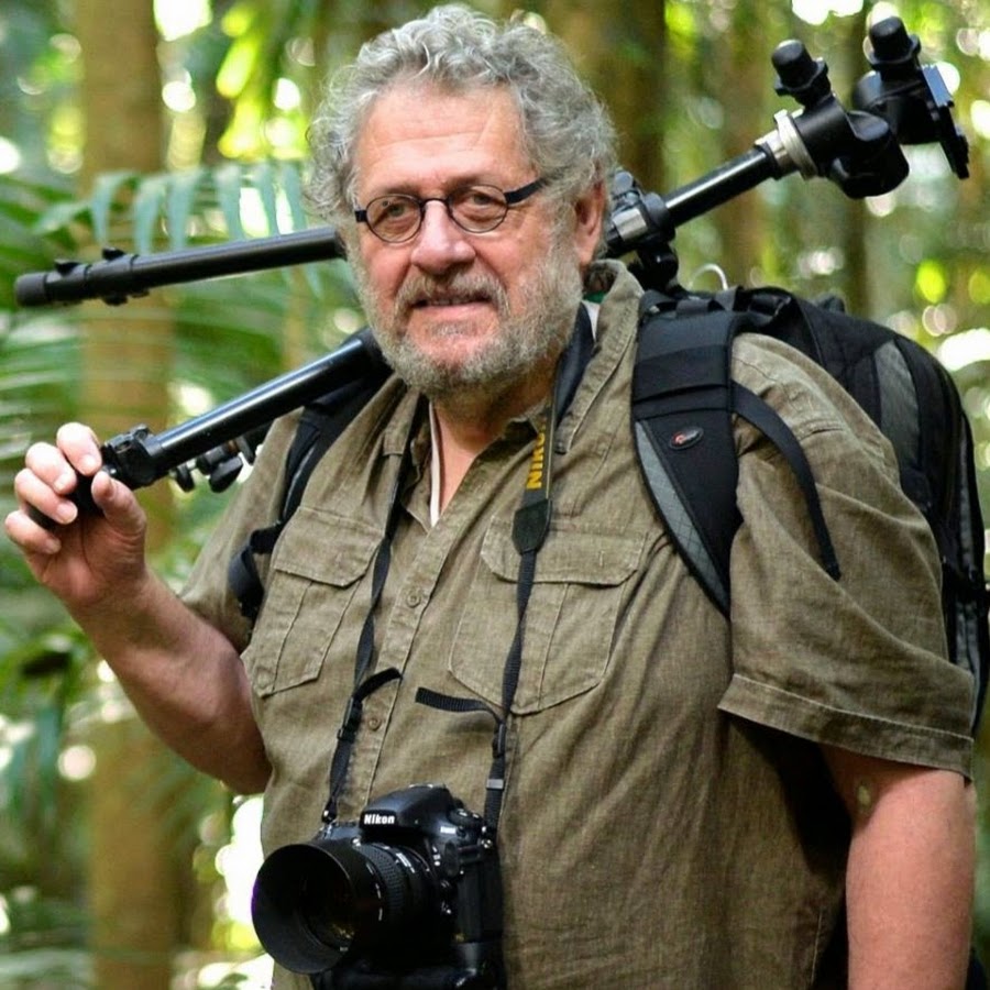 Steve Parish - YouTube