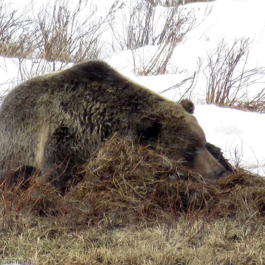 Stan Mills - YouTube