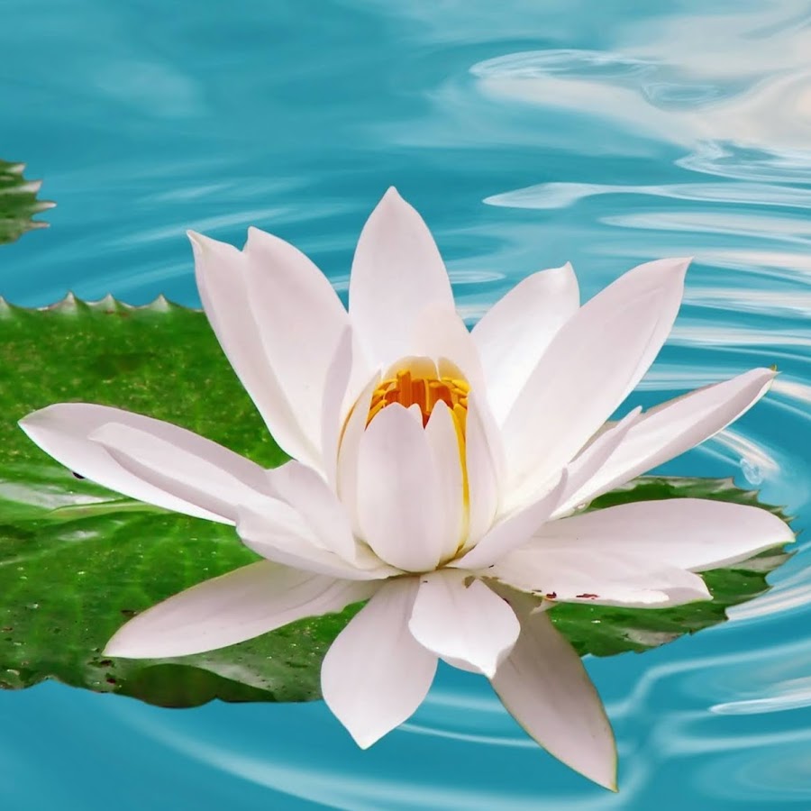 Hannah Banana - YouTube