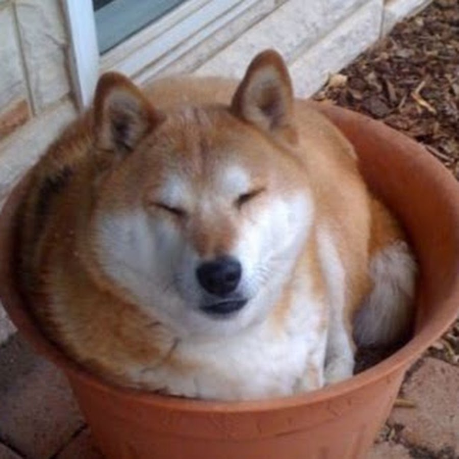 qwertyuiop - YouTube