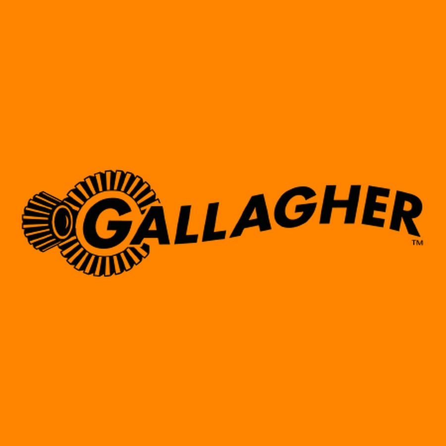 Gallagher Europe Electric Fencing, Weighing and EID - YouTube