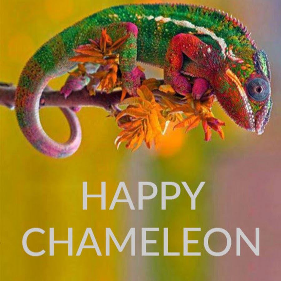 Happy Chameleon - YouTube