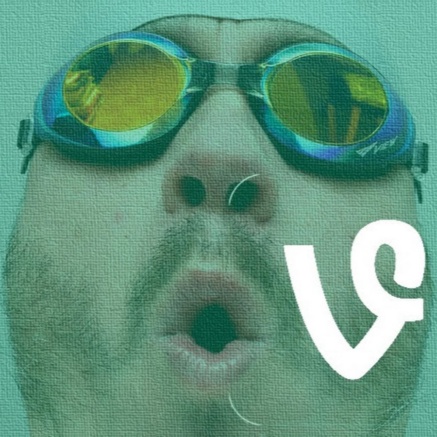 Mr. Vine - YouTube