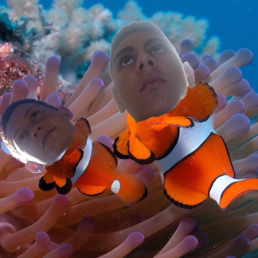 floppy fish studios - YouTube