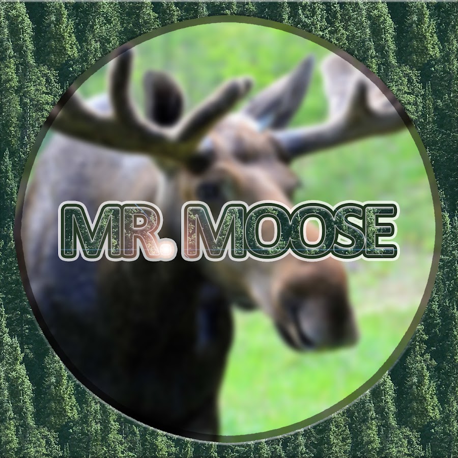 Mr. Moose - YouTube