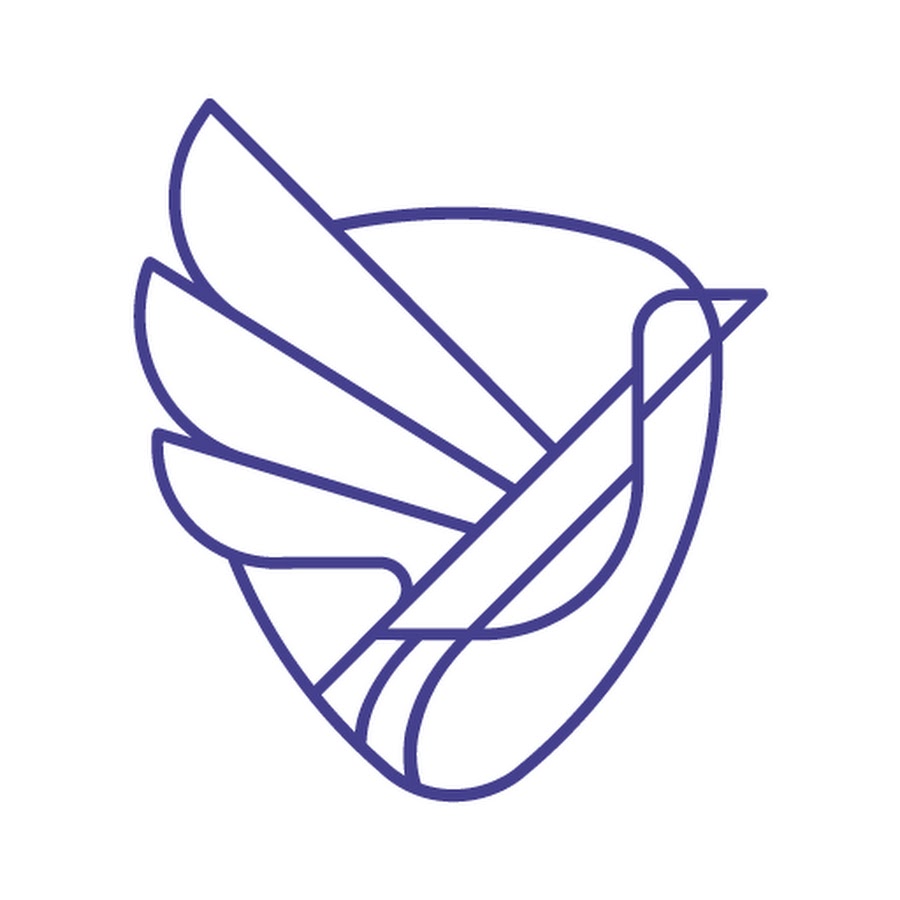 Tyler Robinson Foundation - YouTube