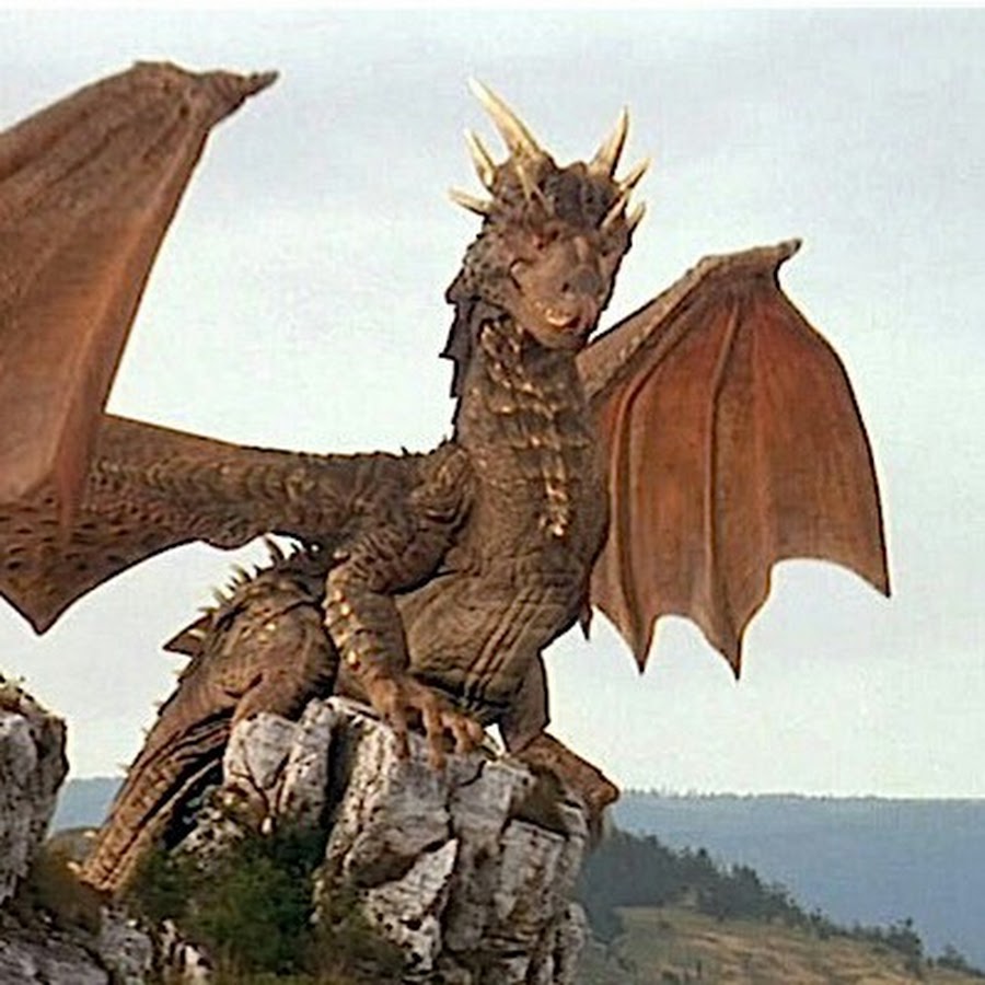 Draco Dragon - YouTube