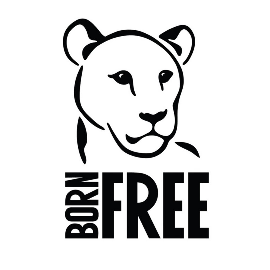 Born Free Foundation - YouTube
