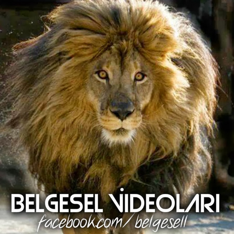 Belgesel Videoları - YouTube
