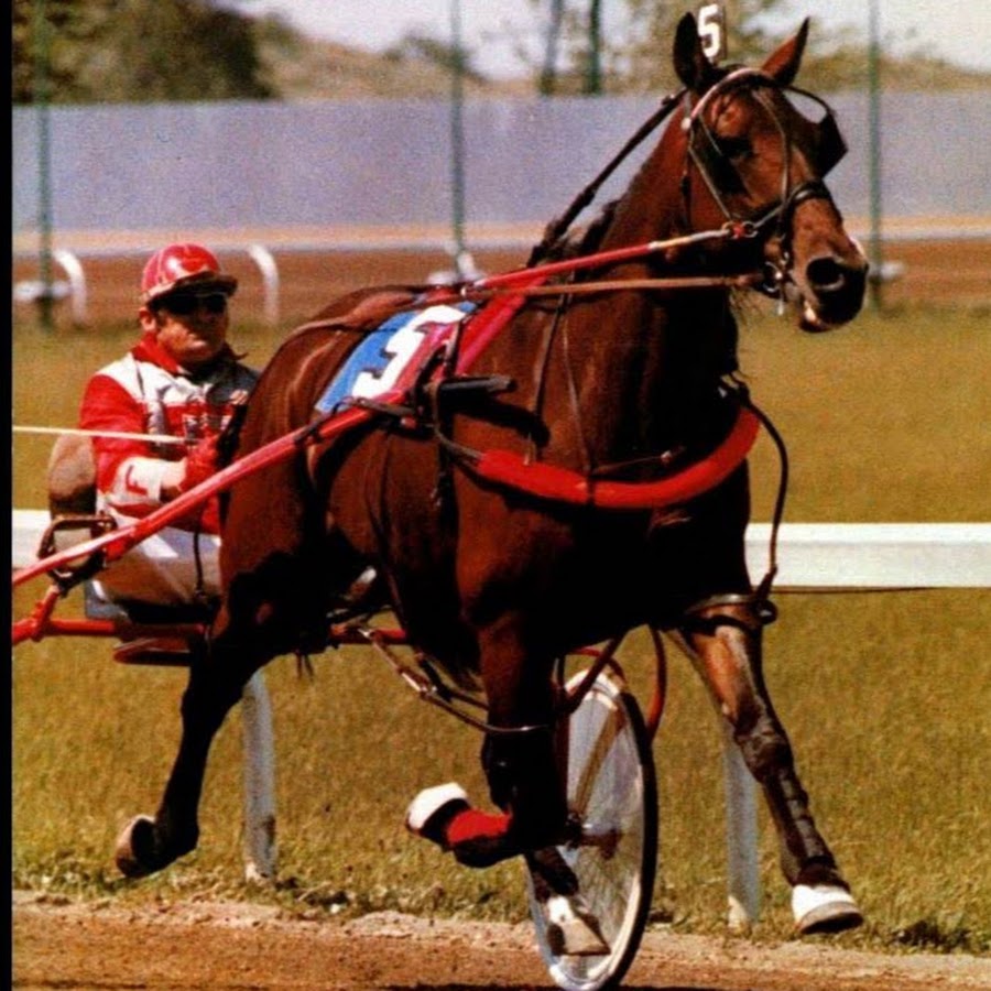 Harness Racing History - The Lost Videos - YouTube