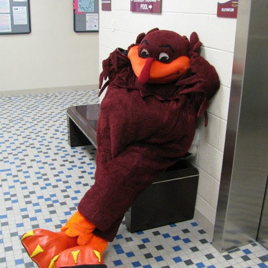 Hokie Bird - YouTube