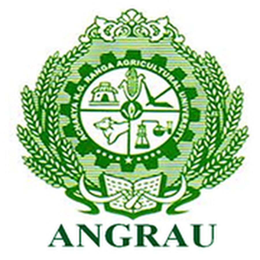 ELECTRONIC WING ANGRAU, GUNTUR - YouTube