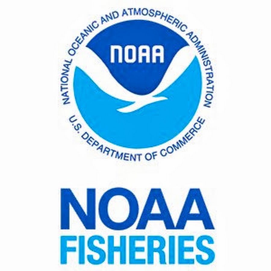 NOAA Fisheries - YouTube