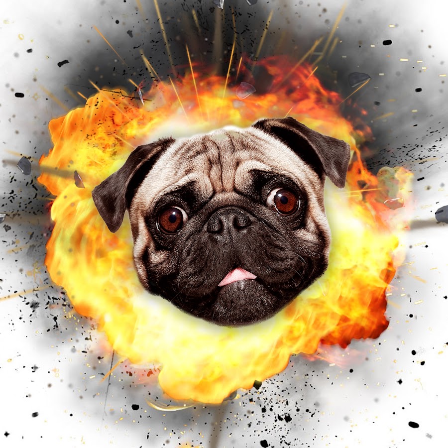 Exploding Pug - YouTube