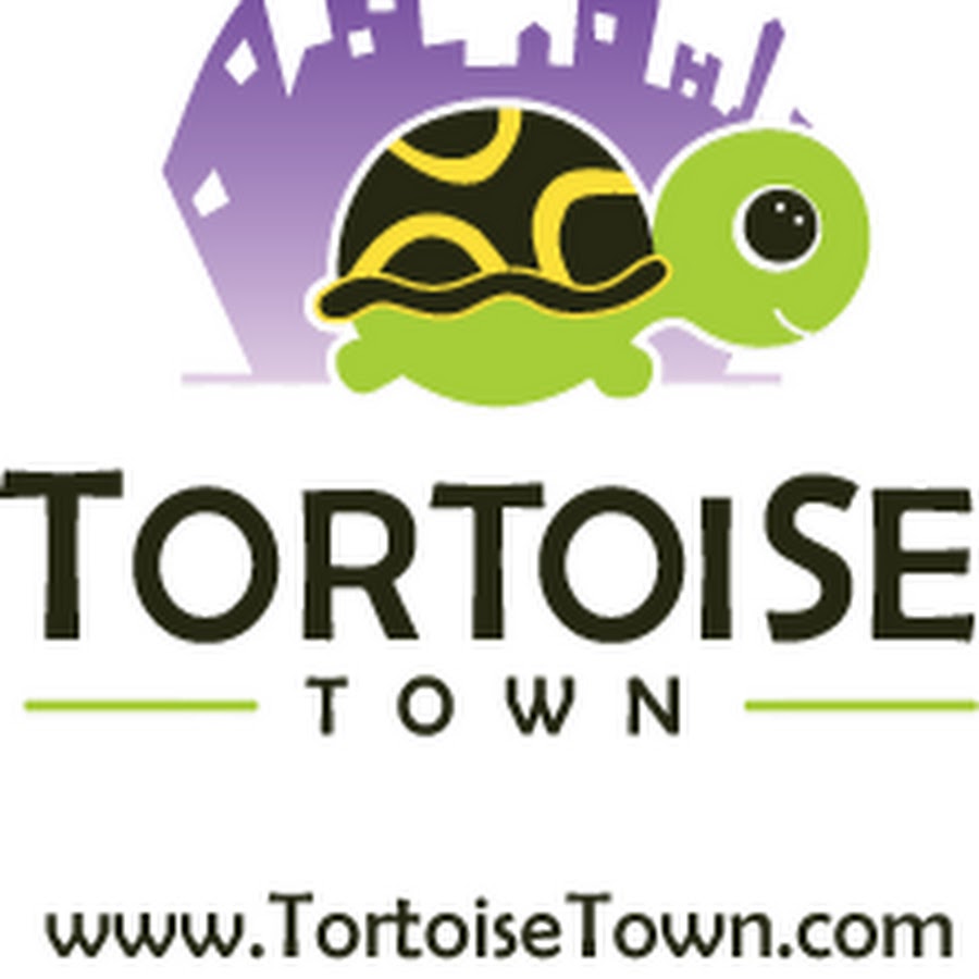 Tortoise Town - YouTube