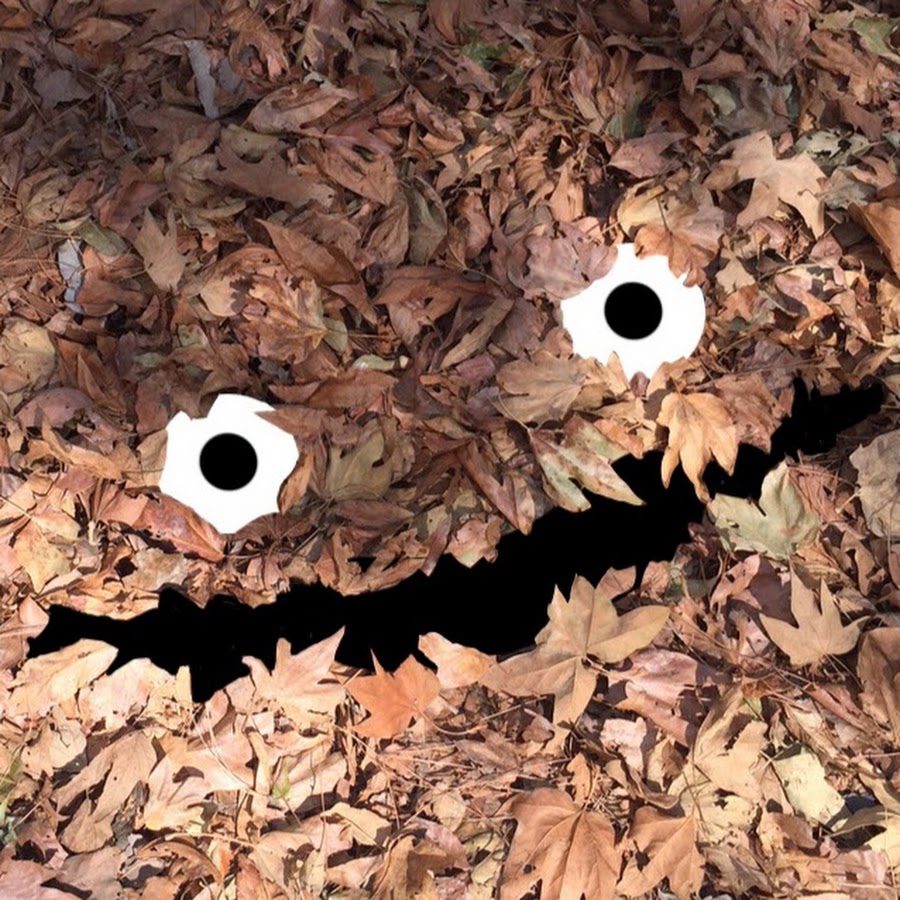 sean charmatz - YouTube