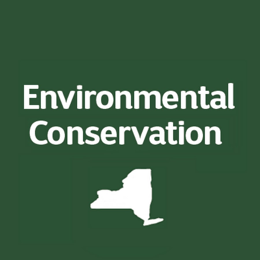 NYSDEC - YouTube