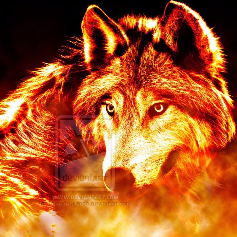 FireWolf - YouTube