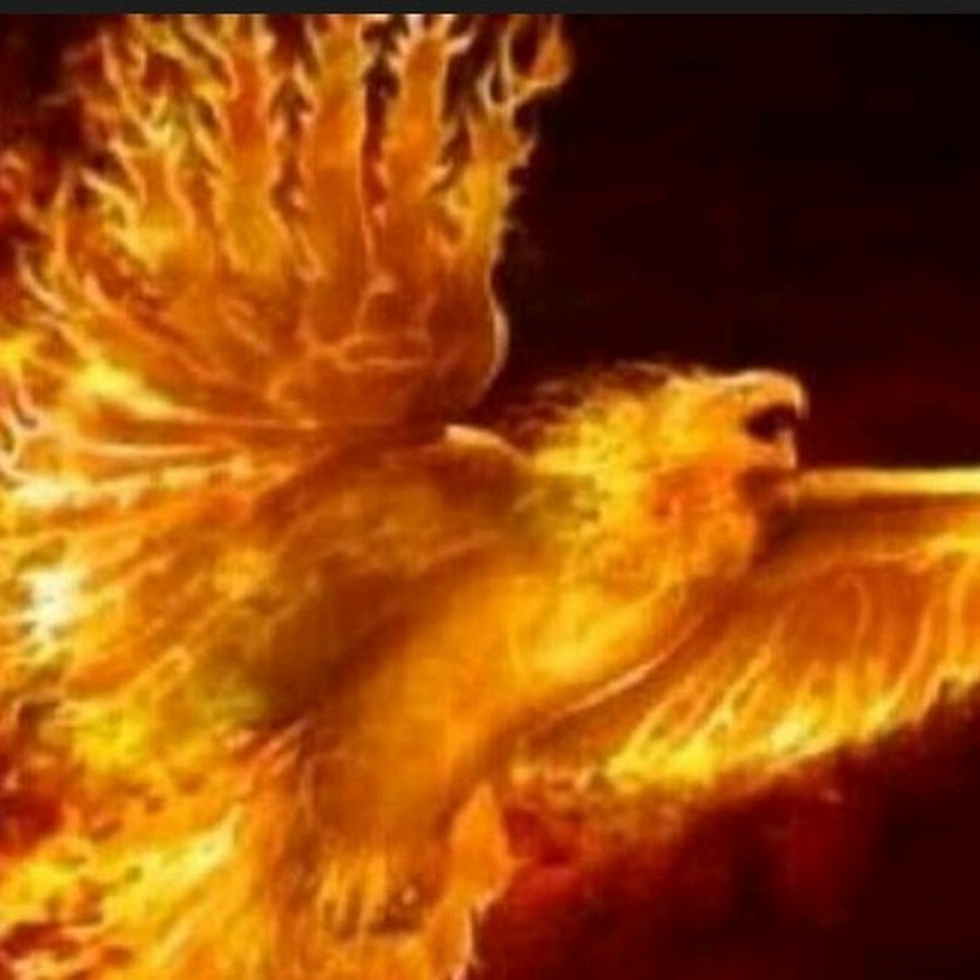 FLAME FALCON - YouTube