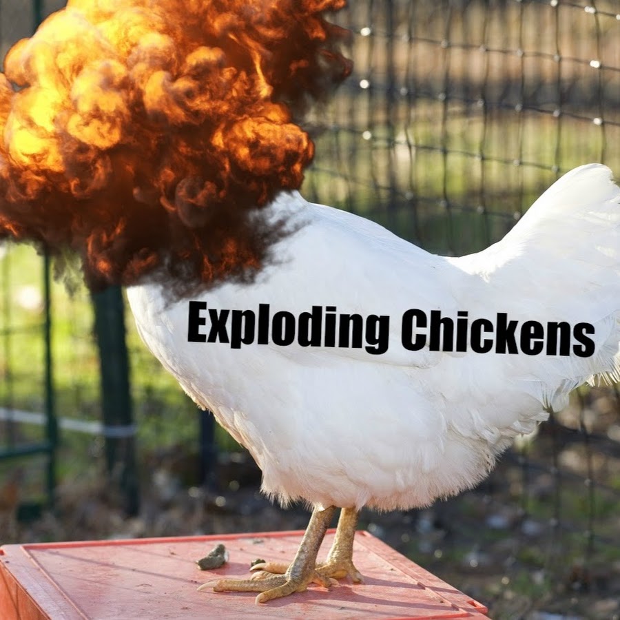 Exploding Chickens - YouTube