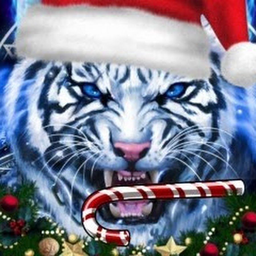 Tiger Gamer - YouTube