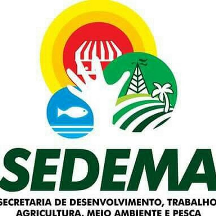 SEDEMA ICAPUI - YouTube