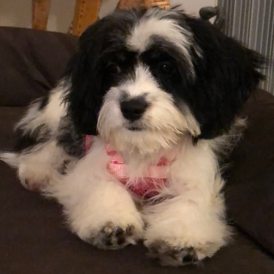 Lillie Joy Roman - YouTube