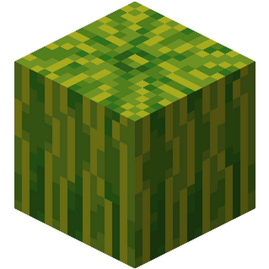 The_doge_dog - YouTube