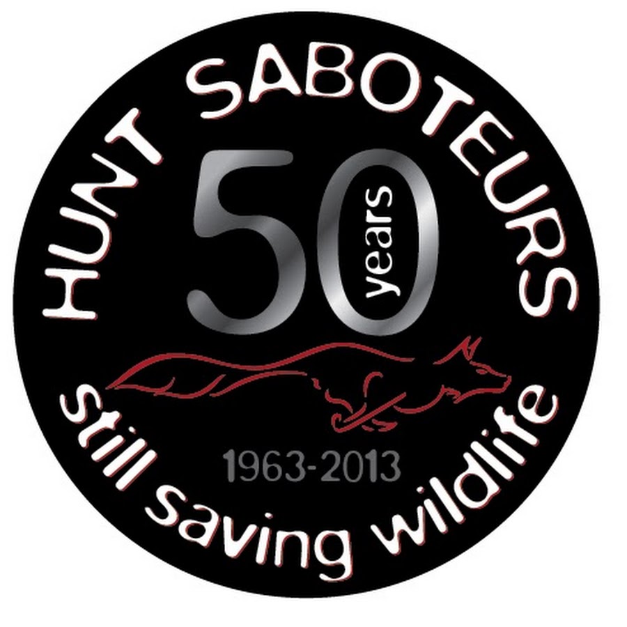 Hunt Sabs - YouTube