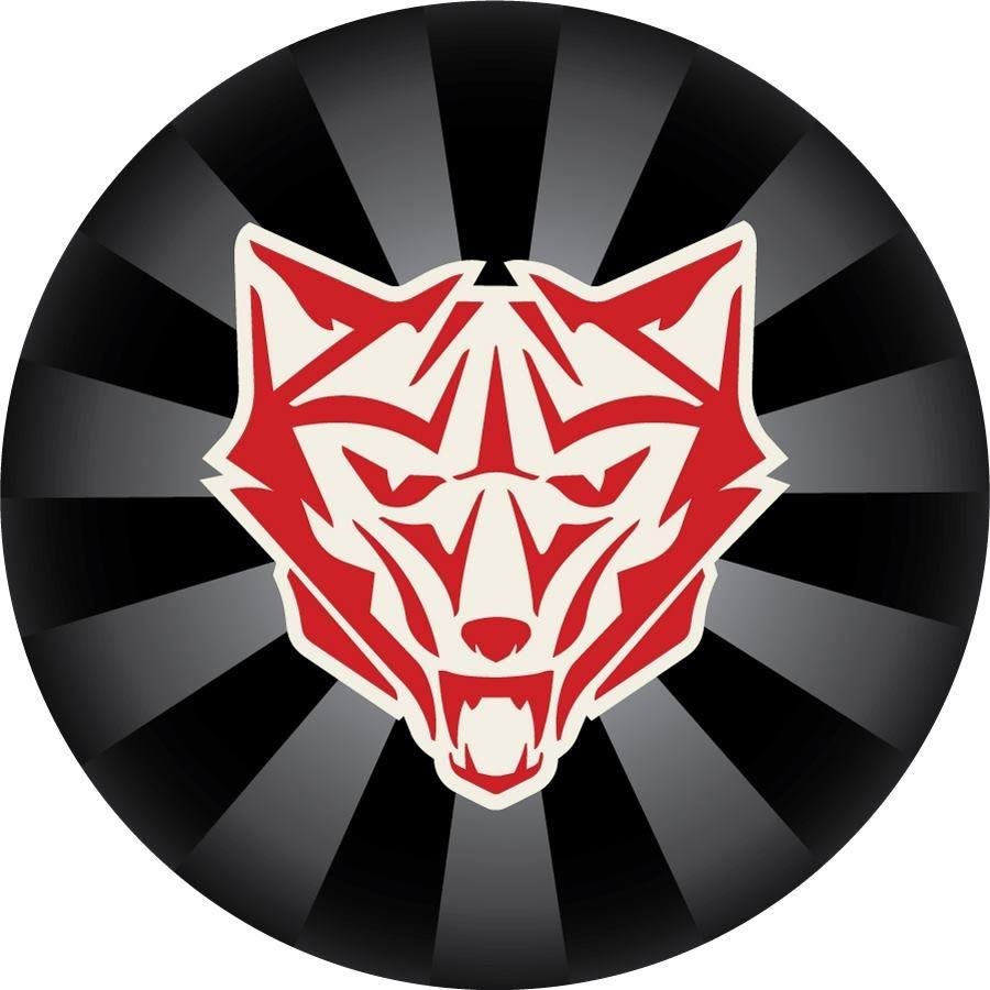 Wolf Martial Arts - YouTube