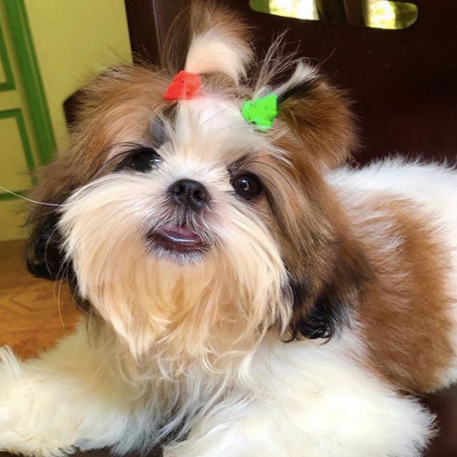 The Real Paningning - YouTube