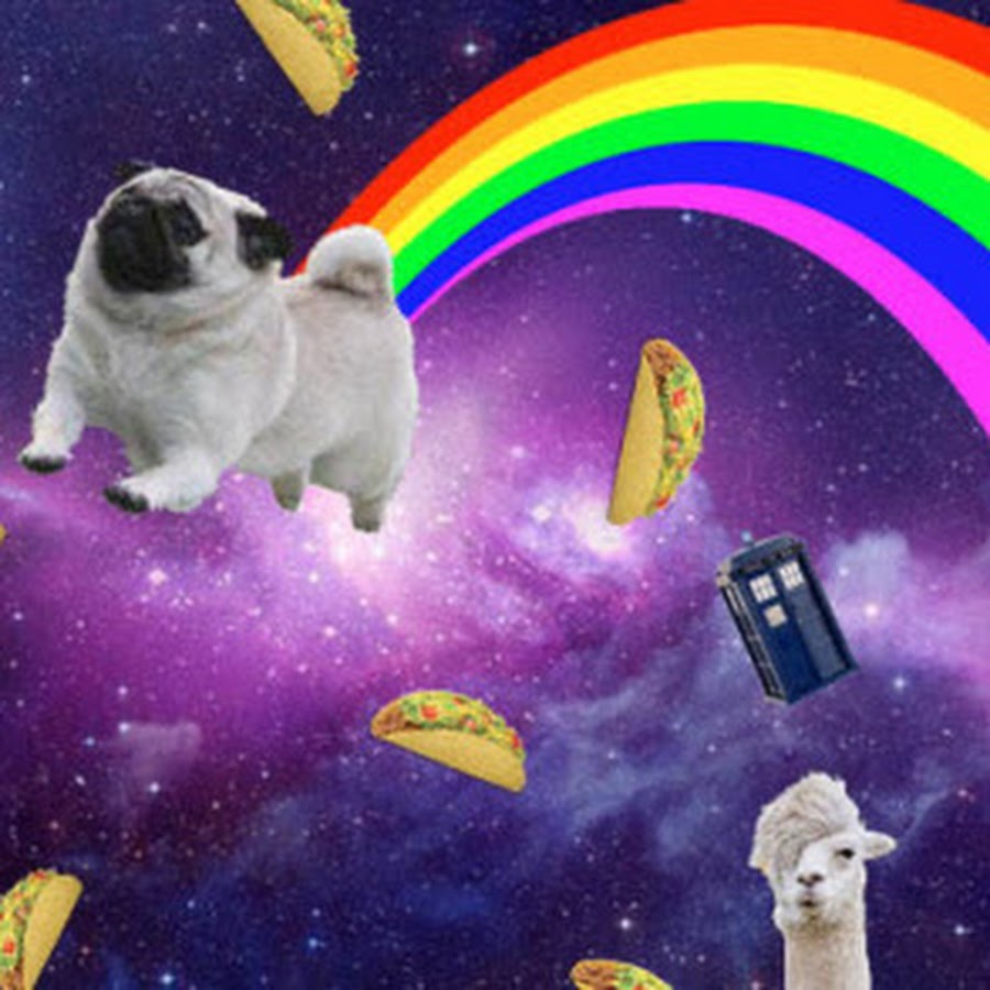 Galaxy Pug - YouTube