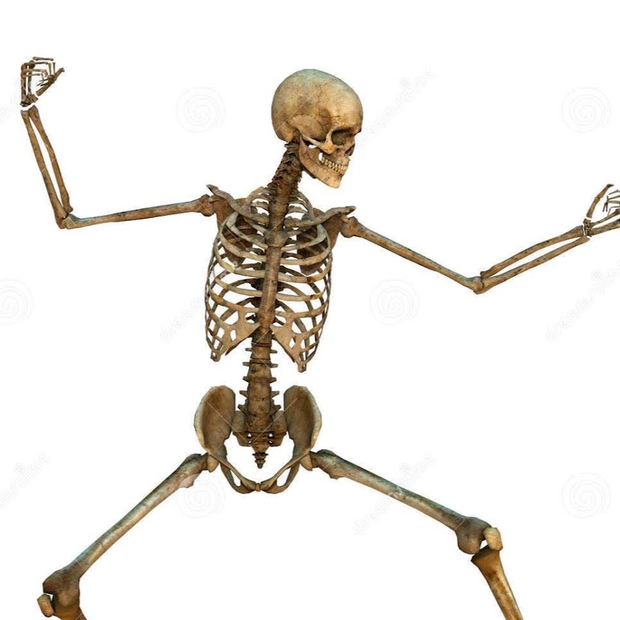 eskeleto matador de otacus kuliaos - YouTube