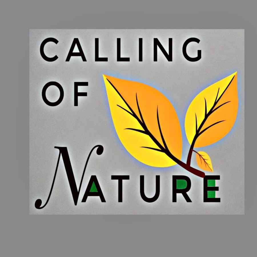 Calling of nature - YouTube