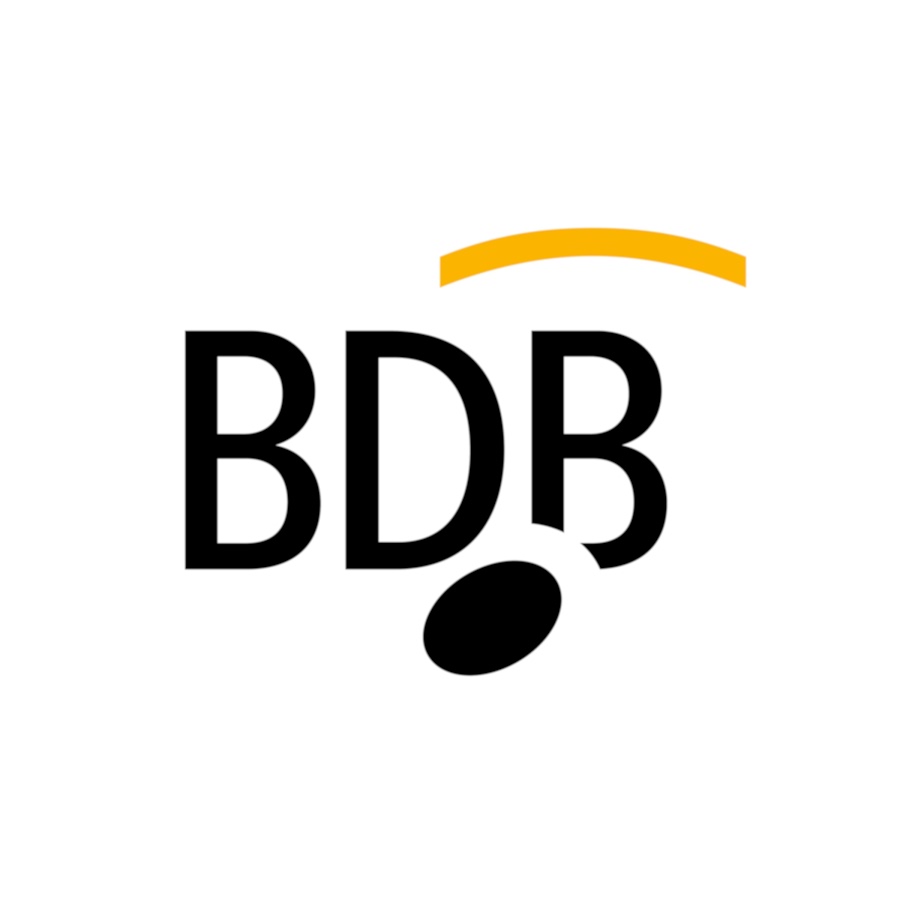 BDB-Musikakademie - YouTube