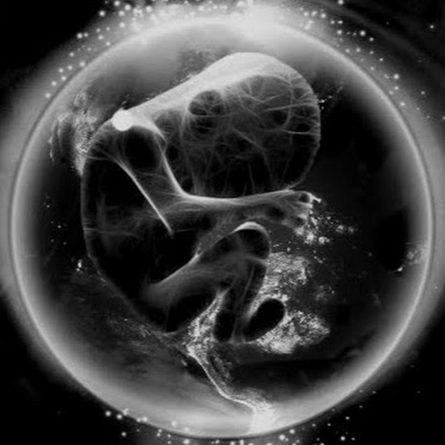 Anthropos 11 - YouTube