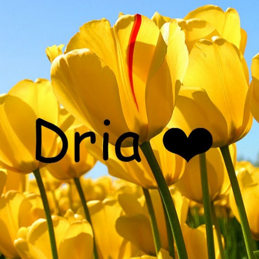 Dria - YouTube
