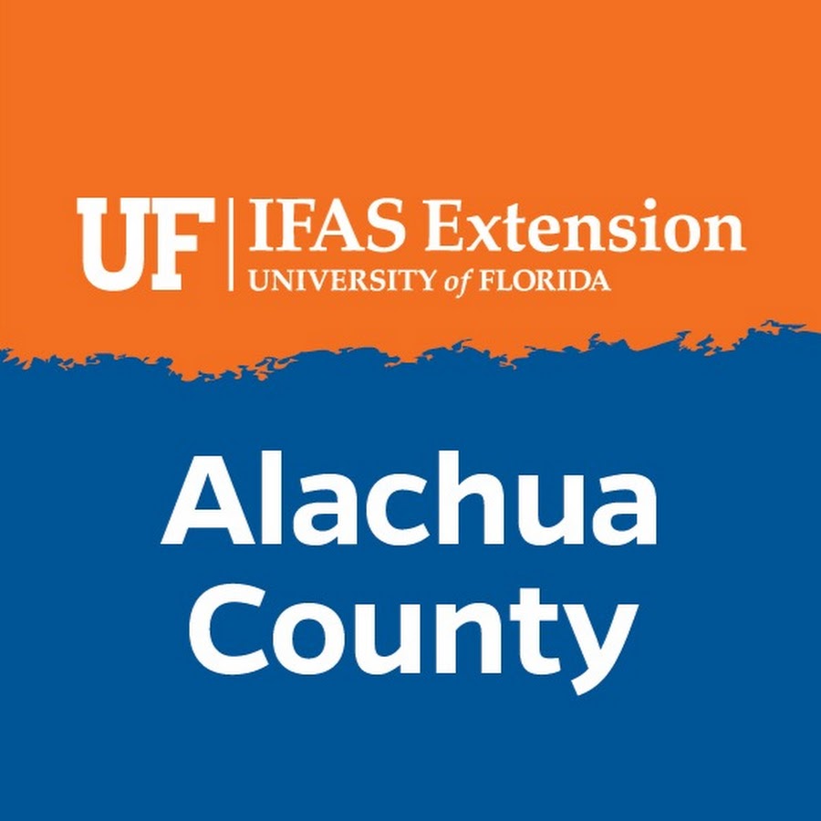 UF IFAS Extension Alachua County - YouTube