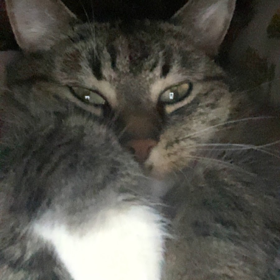 Kaylena Official - YouTube