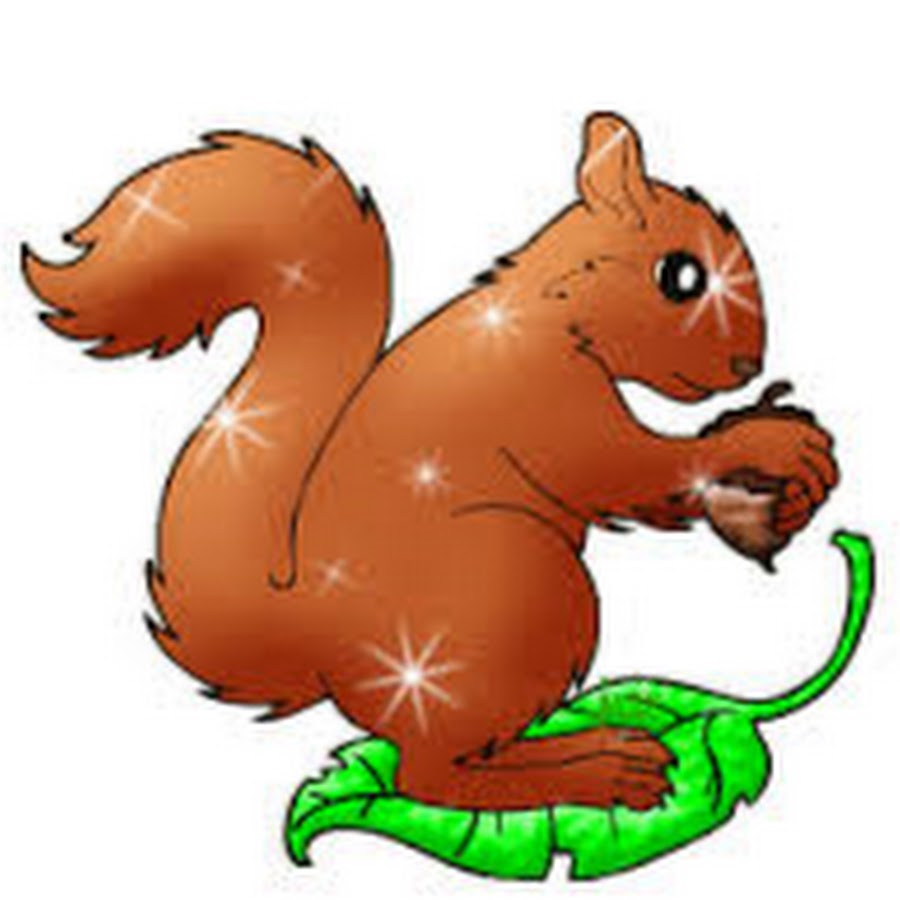 Super Shiny Squirrel - YouTube