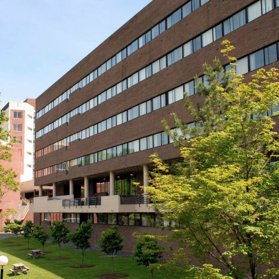 RPI School of Engineering - YouTube