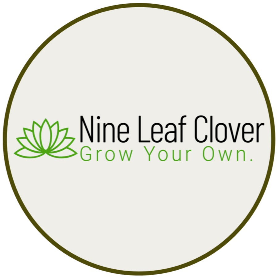 Nine Leaf Clover - YouTube