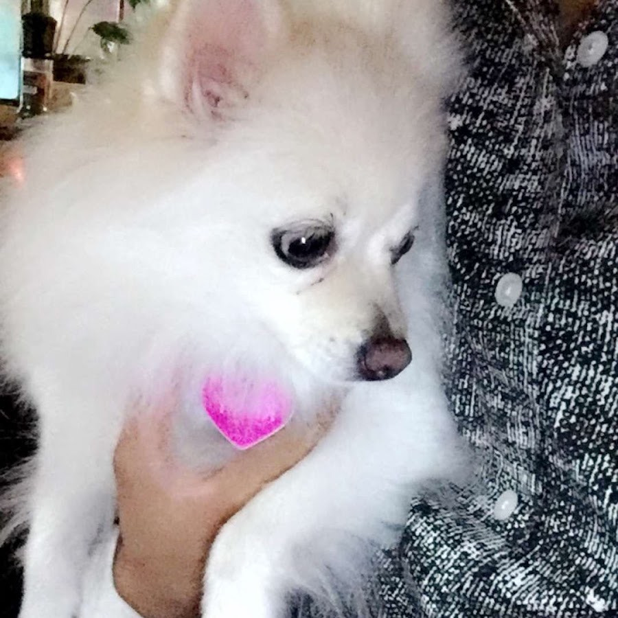 Ashley Aoki - YouTube