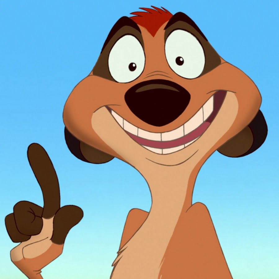 Timon the Meerkat - YouTube