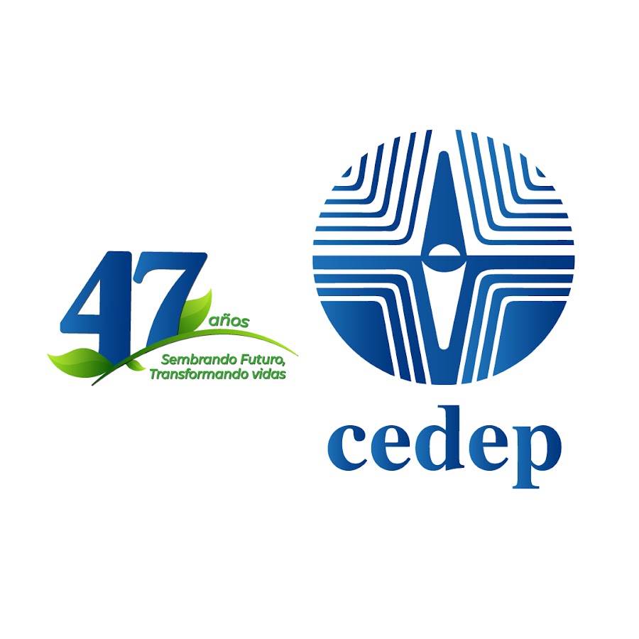 CEDEP Perú - YouTube