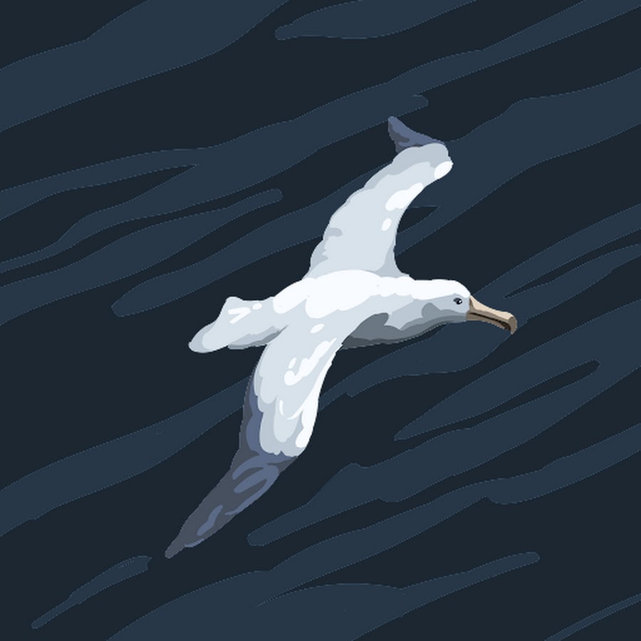 Afaq Malik - YouTube