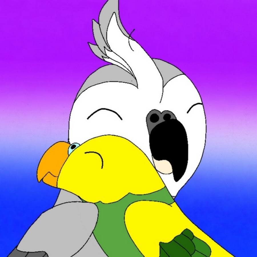 Cockatiel Animations - YouTube