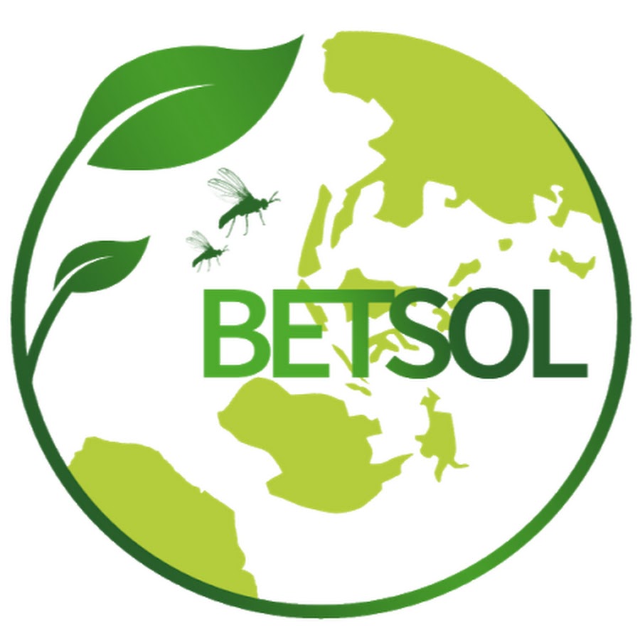 Betsol - YouTube