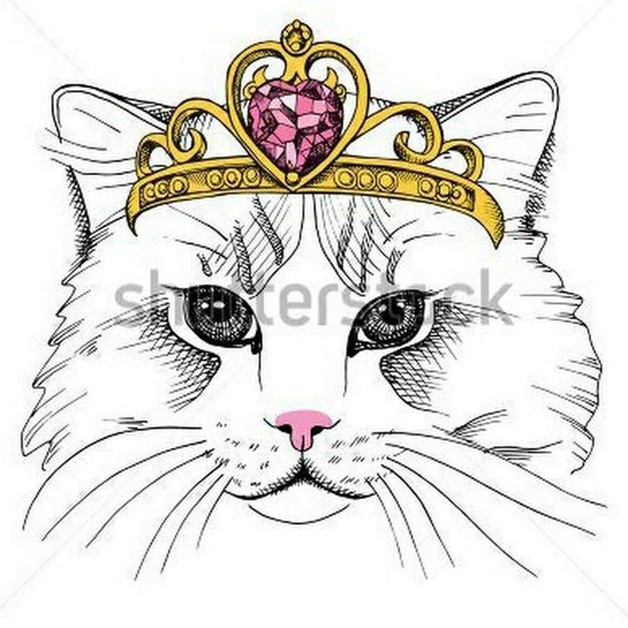 The Princess Cat - YouTube